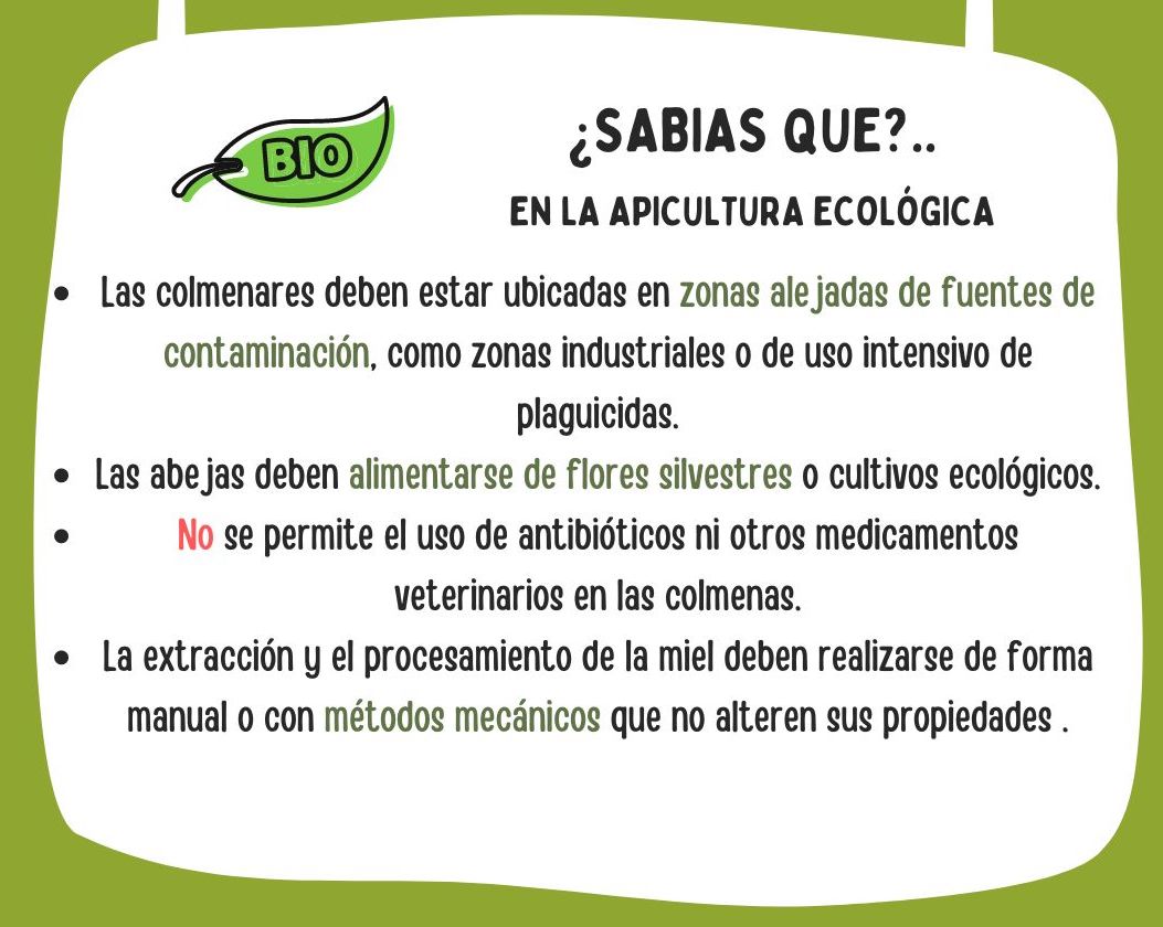 ¿Qué es la miel ecológica? | Verdemiel